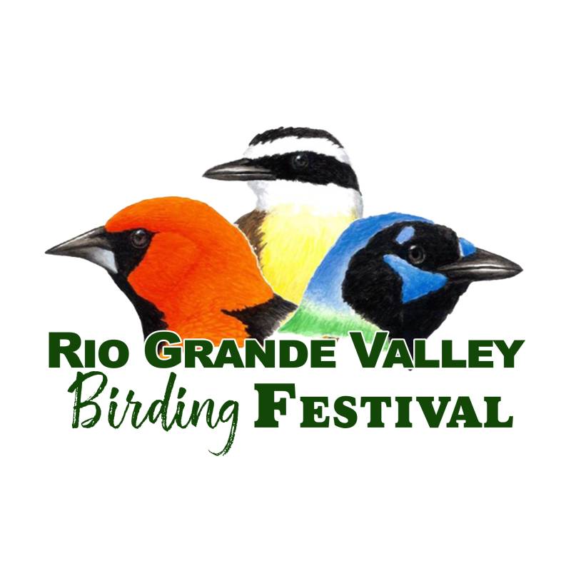 Birdwatching Challenges