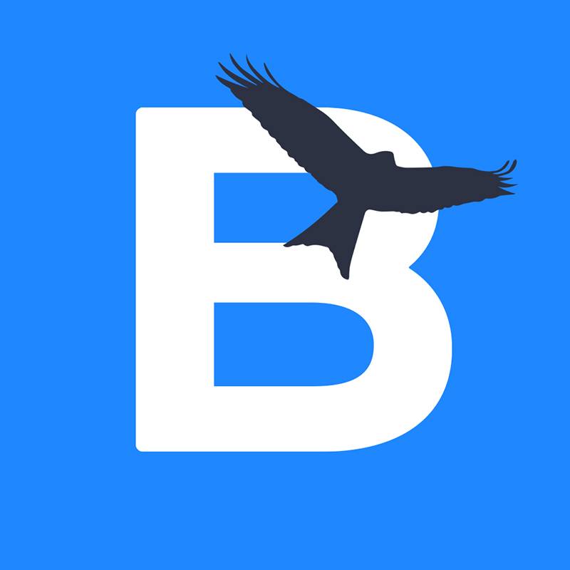 Birdwatching Challenges