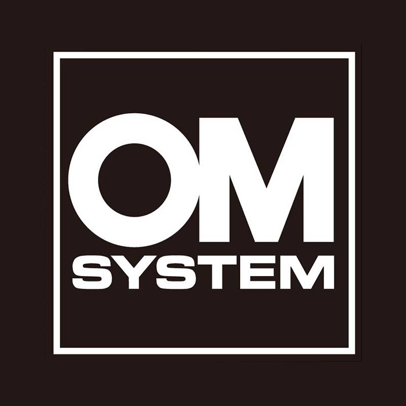 Birdwatching Challenges